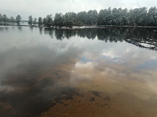 Best Hikes and Trails in Penn State Forest | AllTrails