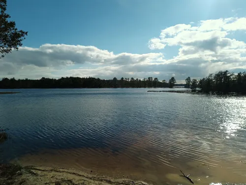 Best Hikes and Trails in Penn State Forest | AllTrails