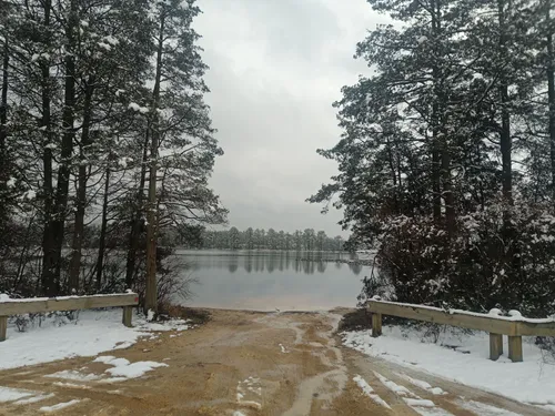 Best Hikes and Trails in Penn State Forest | AllTrails