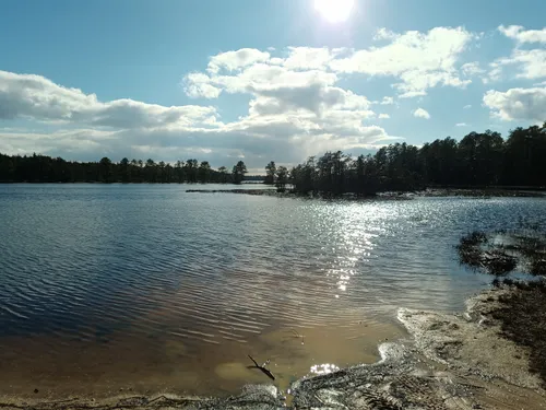 Best Hikes and Trails in Penn State Forest | AllTrails