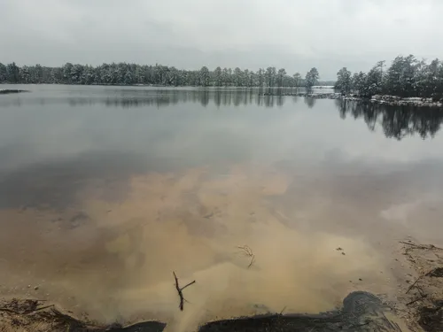 Best Hikes and Trails in Penn State Forest | AllTrails