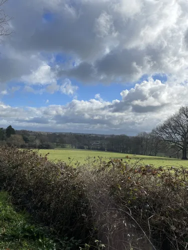 10 Best Trails, Walks, and Paths in Oxted | AllTrails