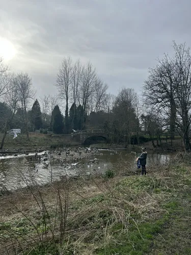 Best Hikes and Trails in Cannon Hall Country Park | AllTrails