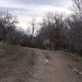 Memory Grove Trail, Utah - 1,320 Reviews, Map | AllTrails