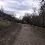 Memory Grove Trail, Utah - 1,320 Reviews, Map | AllTrails