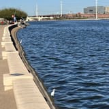 Tempe Town Lake Trail, Arizona - 854 Reviews, Map | AllTrails