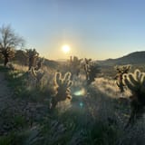 Dixie Summit Trail, Arizona - 1,506 Reviews, Map | AllTrails