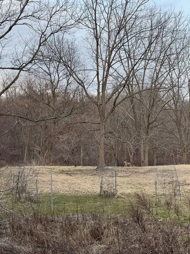 Best Hikes and Trails in Caumsett State Historic Park Preserve | AllTrails