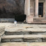 Memory Grove Trail, Utah - 1,320 Reviews, Map | AllTrails