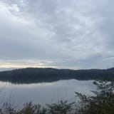 Fonta Flora Trail Loop, North Carolina - 1,607 Reviews, Map | AllTrails