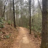 Fonta Flora Trail Loop, North Carolina - 1,607 Reviews, Map | AllTrails
