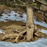 Gem Lake Trail and Lumpy Ridge Loop, Colorado - 1,905 Reviews, Map ...