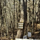 Cook Conservation Area Loop, Massachusetts - 936 Reviews, Map | AllTrails