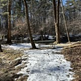 Cook Conservation Area Loop, Massachusetts - 936 Reviews, Map | AllTrails