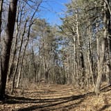 Cook Conservation Area Loop, Massachusetts - 936 Reviews, Map | AllTrails