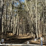 Cook Conservation Area Loop, Massachusetts - 936 Reviews, Map | AllTrails