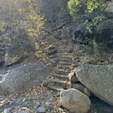 Outer Mountain Loop, Texas - 94 Reviews, Map | AllTrails