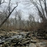 Rachel Carson Greenway Trail, Maryland - 1,077 Reviews, Map | AllTrails