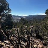 Carlito Springs Loop, New Mexico - 462 Reviews, Map | AllTrails
