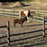 Three Notch Trail, Maryland - 210 Reviews, Map | AllTrails