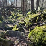 Fiery Gizzard Trail to Raven's Point, Tennessee - 1,139 Reviews, Map ...