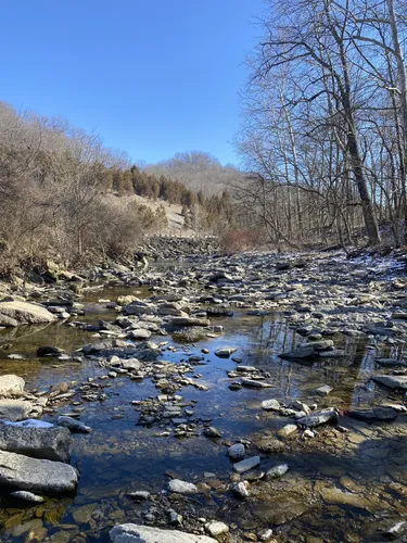 Best Hikes and Trails in Bender Mountain Nature Preserve | AllTrails