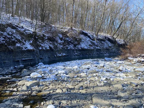 Best Hikes and Trails in Bender Mountain Nature Preserve | AllTrails