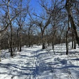 Bull Hill Full Loop, New York - 5,352 Reviews, Map | AllTrails