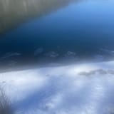 Hessian Lake Loop, New York - 836 Reviews, Map | AllTrails