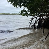 Wild Tamarind Trail, Florida - 230 Reviews, Map | AllTrails