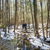 Grater Woods Loop, New Hampshire - 236 Reviews, Map | AllTrails