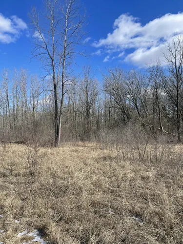 Best Hikes and Trails in Perch Creek Habitat Management Area | AllTrails