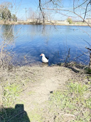 Best Hikes and Trails in Fischer Park | AllTrails