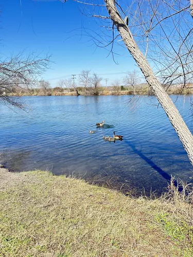 Best Hikes and Trails in Fischer Park | AllTrails