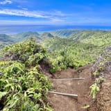 Hawaiʻi Loa Ridge Trail [PRIVATE PROPERTY], Oahu, Hawaii - 1,352 ...