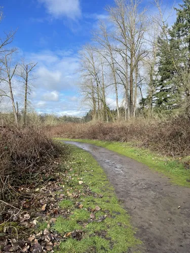 Best Hikes and Trails in Keizer Rapids Park | AllTrails