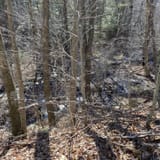 Whitney Spur Bikeway to Wompatuck Bikeway, Massachusetts - 471 Reviews ...