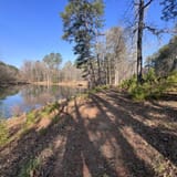 Sunset Trail, Arkansas - 747 Reviews, Map | AllTrails