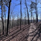Sunset Trail, Arkansas - 747 Reviews, Map | AllTrails