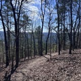 Sunset Trail, Arkansas - 747 Reviews, Map | AllTrails