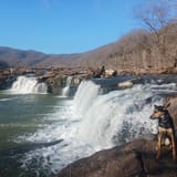 Sandstone Falls Boardwalk and Island Loop Trail, West Virginia - 663 ...