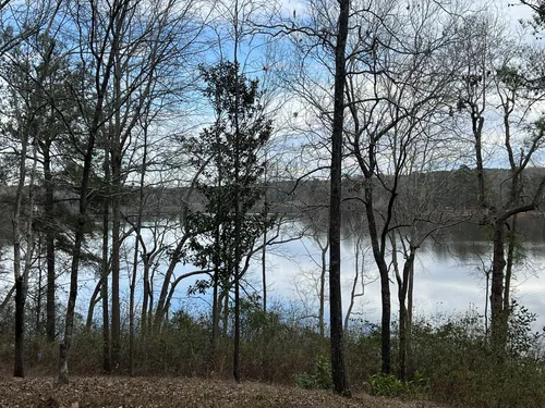 Best Hikes and Trails in Langley Pond Park | AllTrails