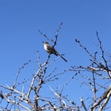 Oso Bay Wetlands Preserve, Texas - 384 Reviews, Map | AllTrails