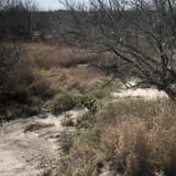 Oso Bay Wetlands Preserve, Texas - 384 Reviews, Map | AllTrails