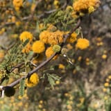 Oso Bay Wetlands Preserve, Texas - 384 Reviews, Map | AllTrails