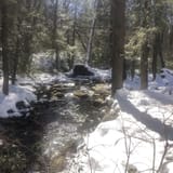 Sunfish Pond via AT and Dunnfield Creek Trail Loop, New Jersey - 1,169 ...