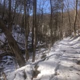 Sunfish Pond via AT and Dunnfield Creek Trail Loop, New Jersey - 1,169 ...