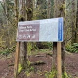 Mima Falls East Trail, Washington - 1,762 Reviews, Map | AllTrails