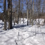 Giuffrida Park Loop, Connecticut - 1,627 Reviews, Map | AllTrails