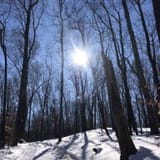 Giuffrida Park Loop, Connecticut - 1,627 Reviews, Map | AllTrails